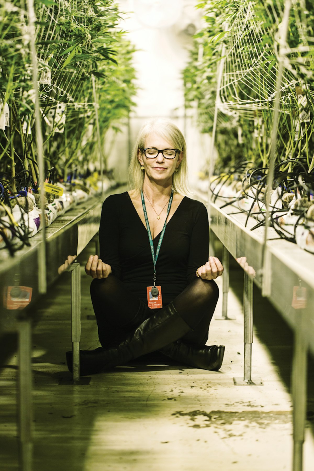 Mindful’s Meg Sanders: The Power of Positive Branding | Cannabis ...