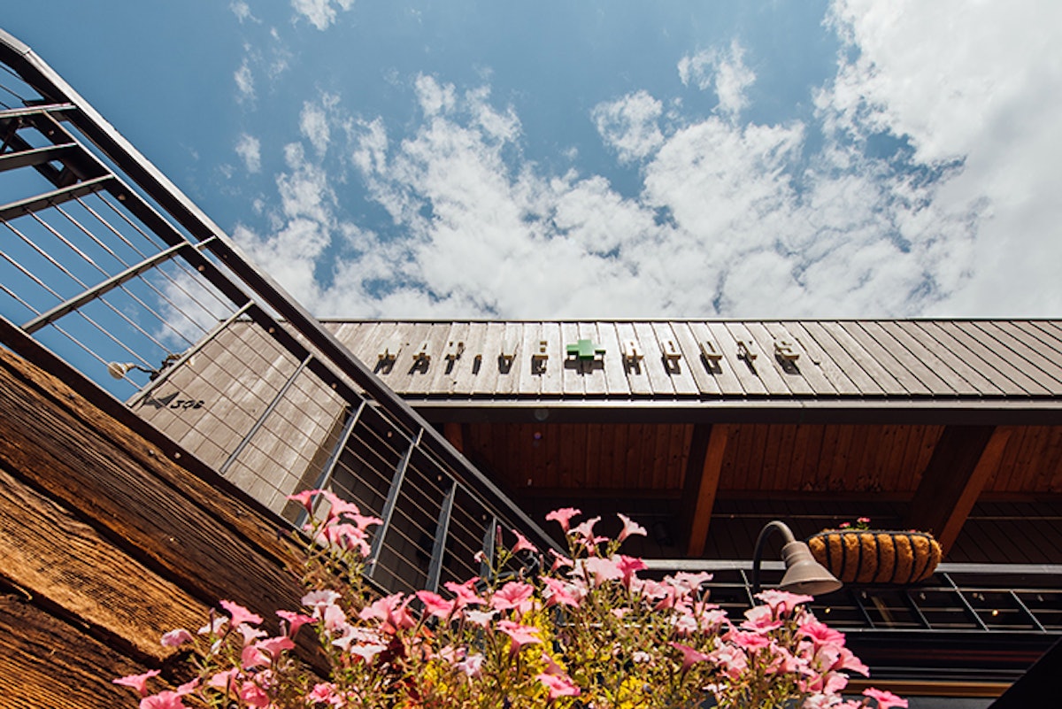 How Native Roots’ Vertically Integrated Business Model Helps It Stay ...