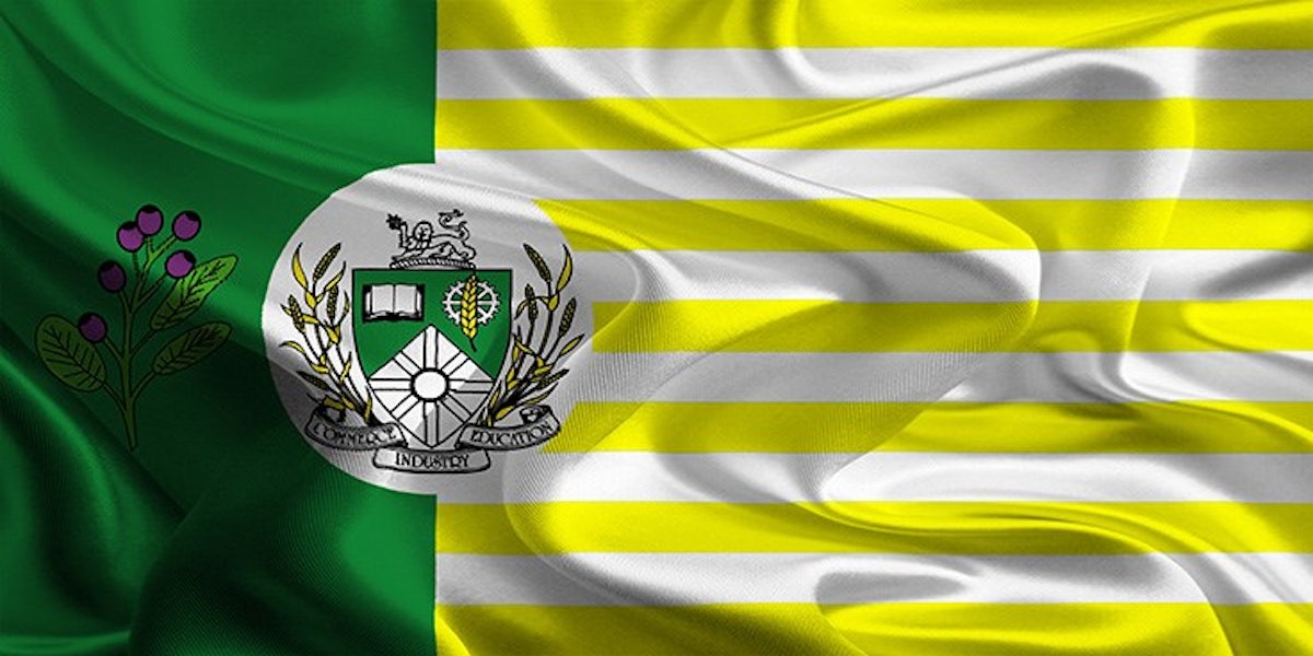 Saskatoon Police Say Canna-World Marijuana Dispensary Raid Not Signal ...