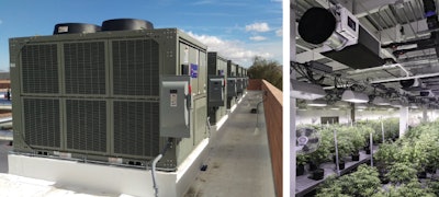 Surna | Cannabis Business Times