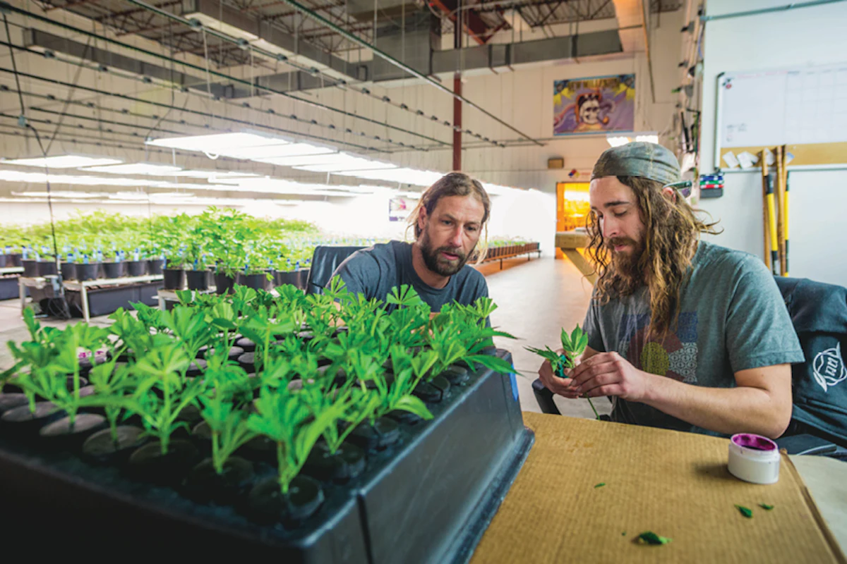 How Terrapin Care Station Runs and Expands its Vertically Integrated ...