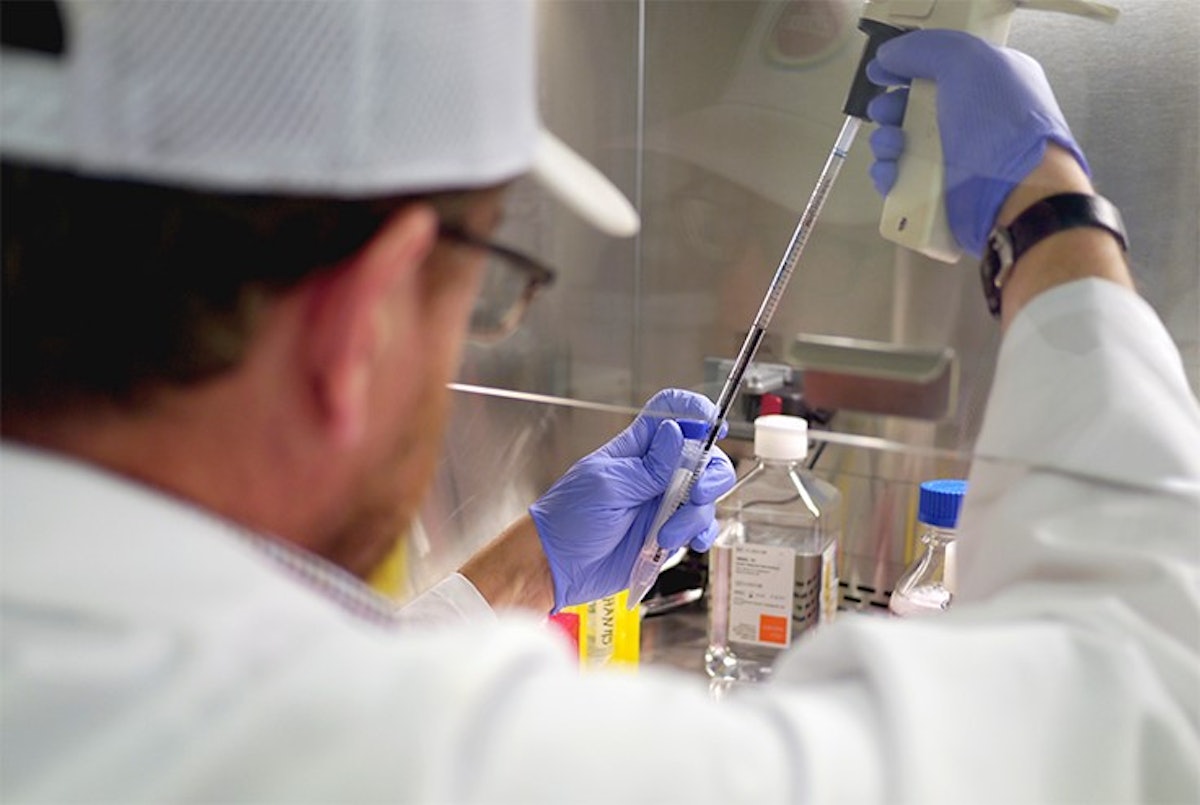 Canopy Growth to Acquire Assets of Colorado-Based Hemp Innovator ebbu ...