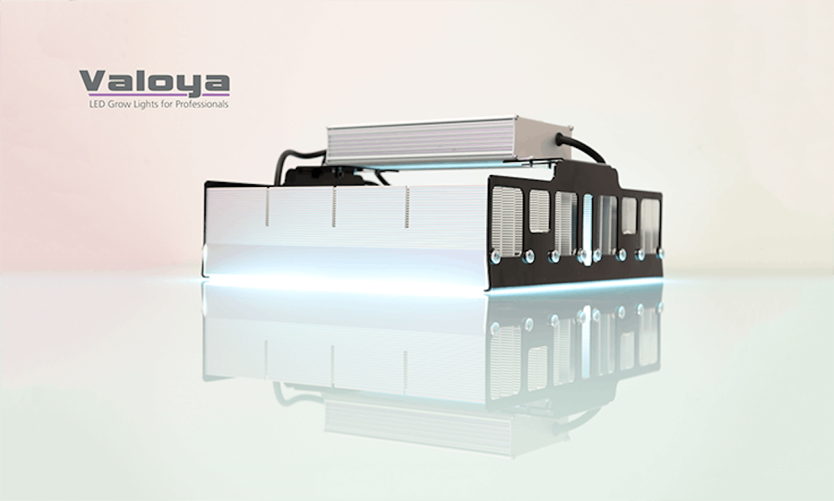 Valoya Accumulates 86 Patents in Horticulture Lighting Industry ...