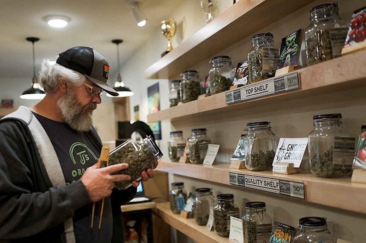 10 Questions with Travis MacKenzie | Cannabis Business Times