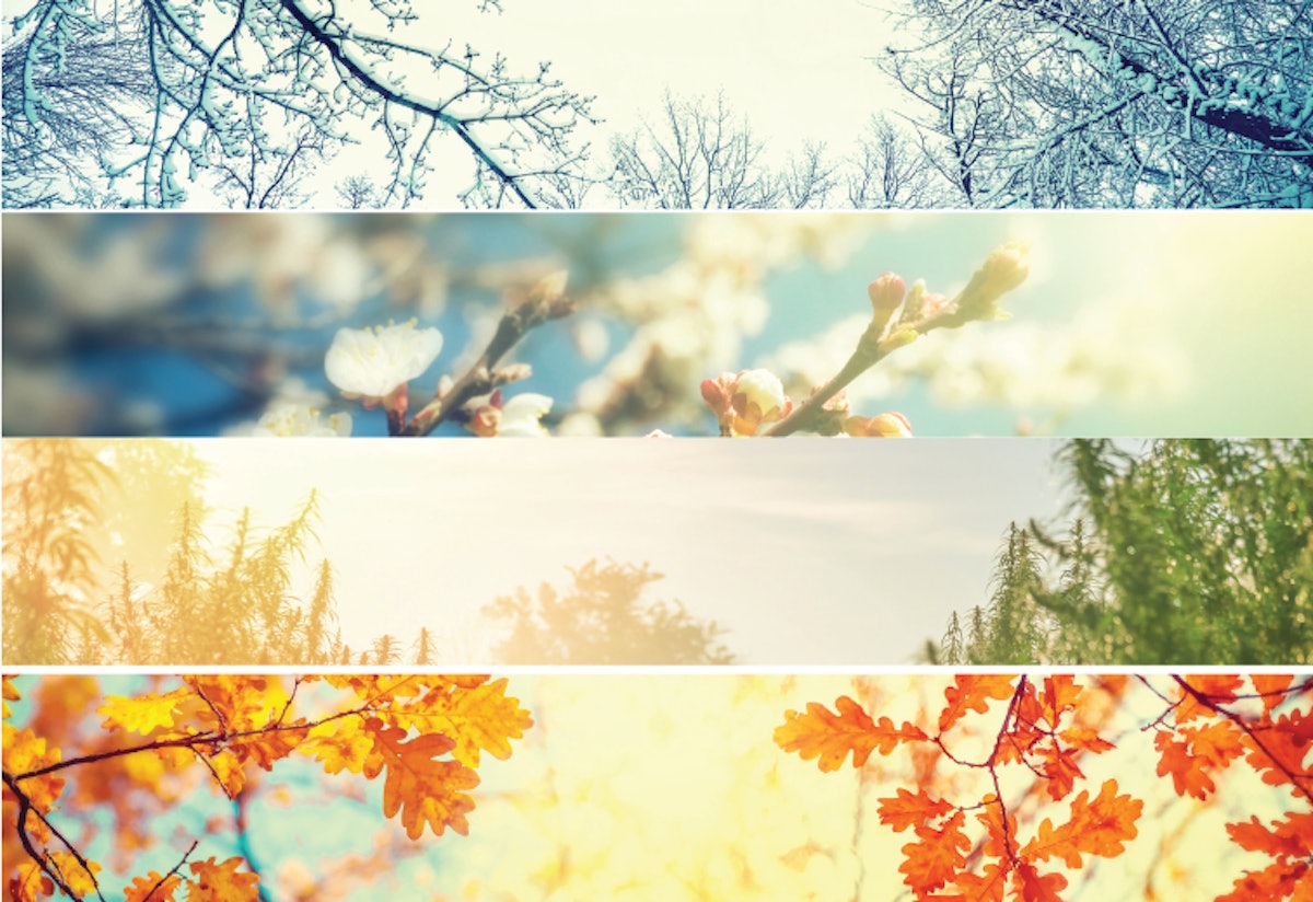 Case Study: The Heirloom Collective | Cannabis Business Times