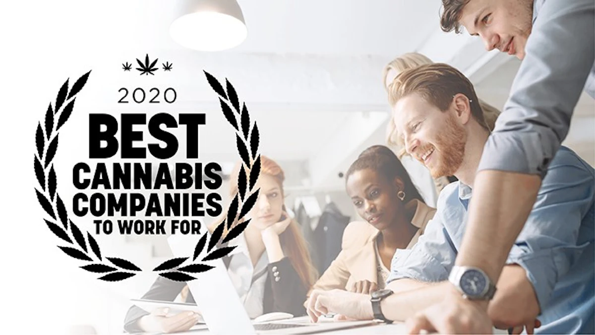 Announcing: The Best Cannabis Companies To Work For—2020 | Cannabis ...