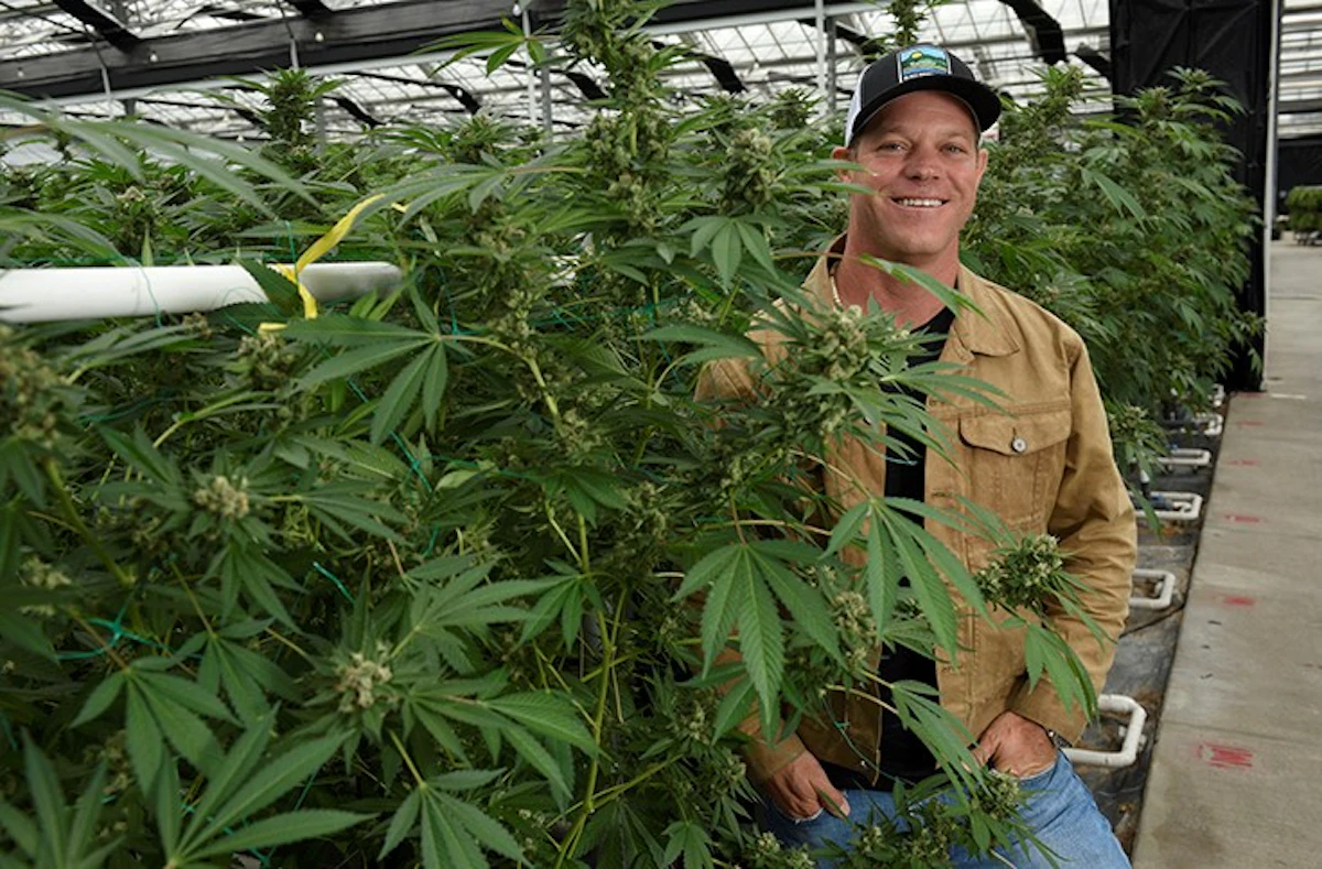 10 Questions With... Graham Farrar, CEO of Glass House Farms | Cannabis ...