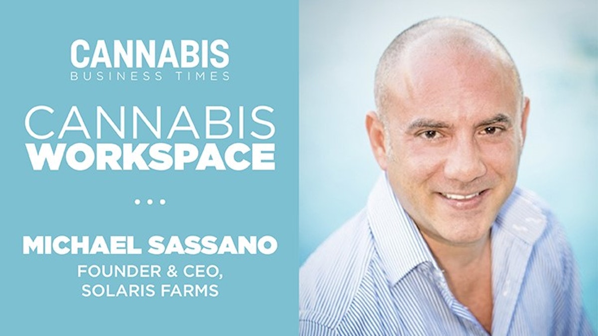 How Solaris Farms’ Michael Sassano Works: Cannabis Workspace | Cannabis ...