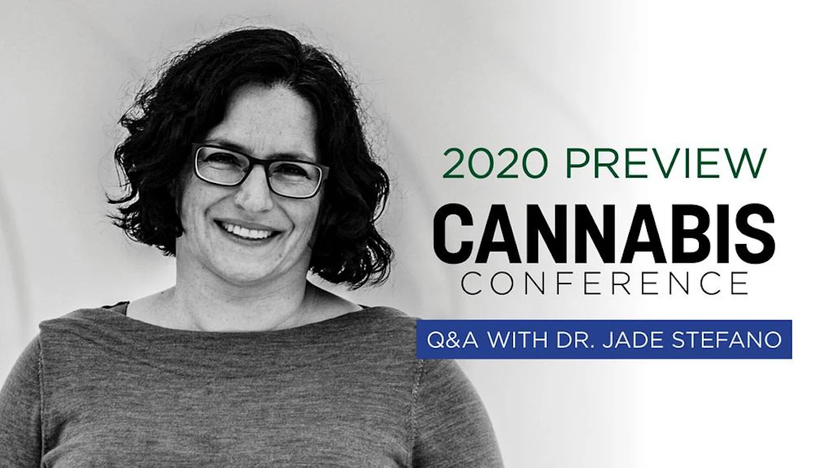 Maximizing Success in Outdoor Cannabis Cultivation: Q&A with Puffin ...