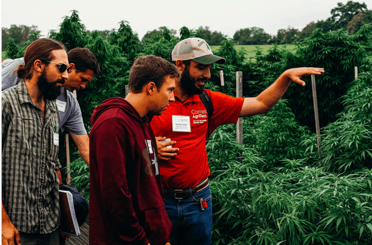 Cornell University Breaks Ground on Hemp Research | Cannabis Business Times