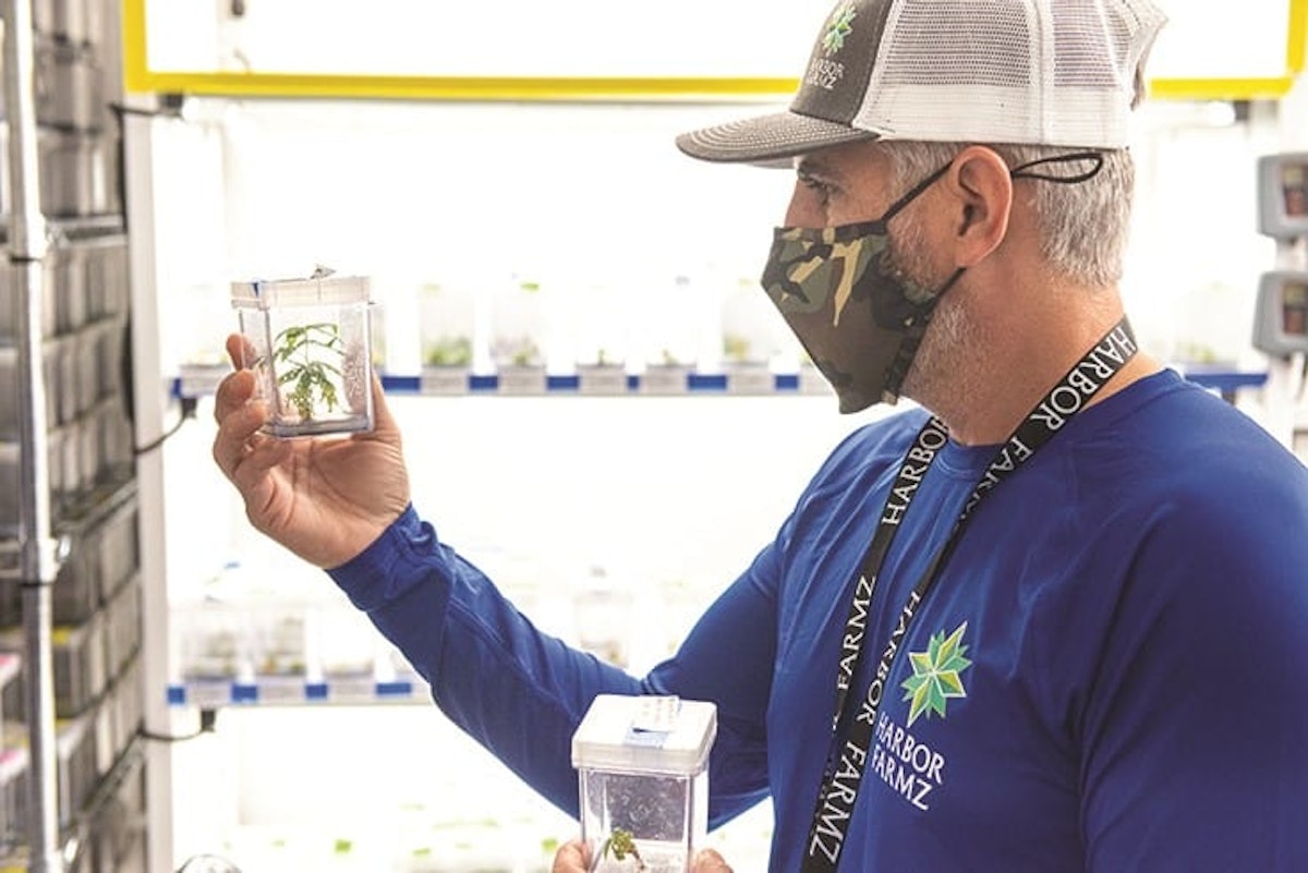 Every Second Counts | Cannabis Business Times