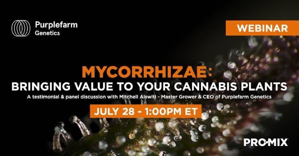 Premier Tech: Mycorrhizae: Bringing Value to Your Cannabis Plants ...