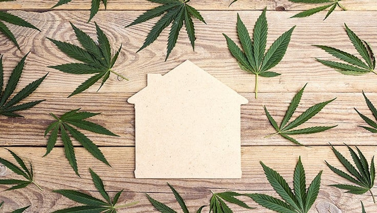 Arizona Releases Qualifying Residency Requirements for 26 Social Equity Cannabis Retail Licenses ...