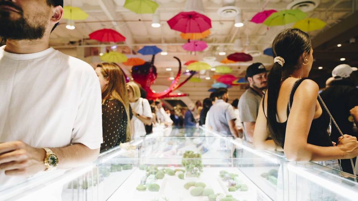 Planet 13 Announces Fourth Florida Dispensary | Cannabis Business Times