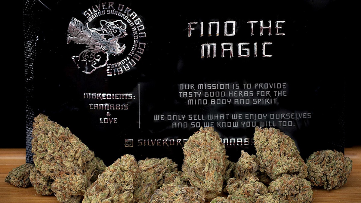 David Silverstone at Silver Dragon Cannabis Talks About Growing Mendo ...