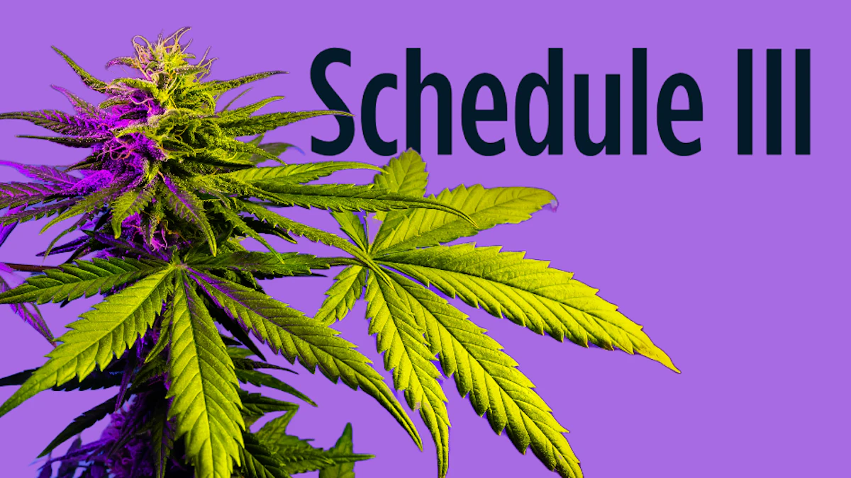 US Health and Human Services Department Recommends Cannabis ...
