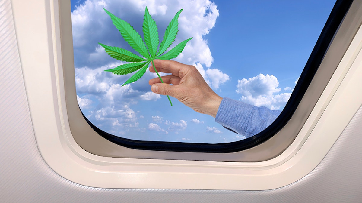 Flying With Cannabis These Holidays? TSA Agents Aren’t Actively ...