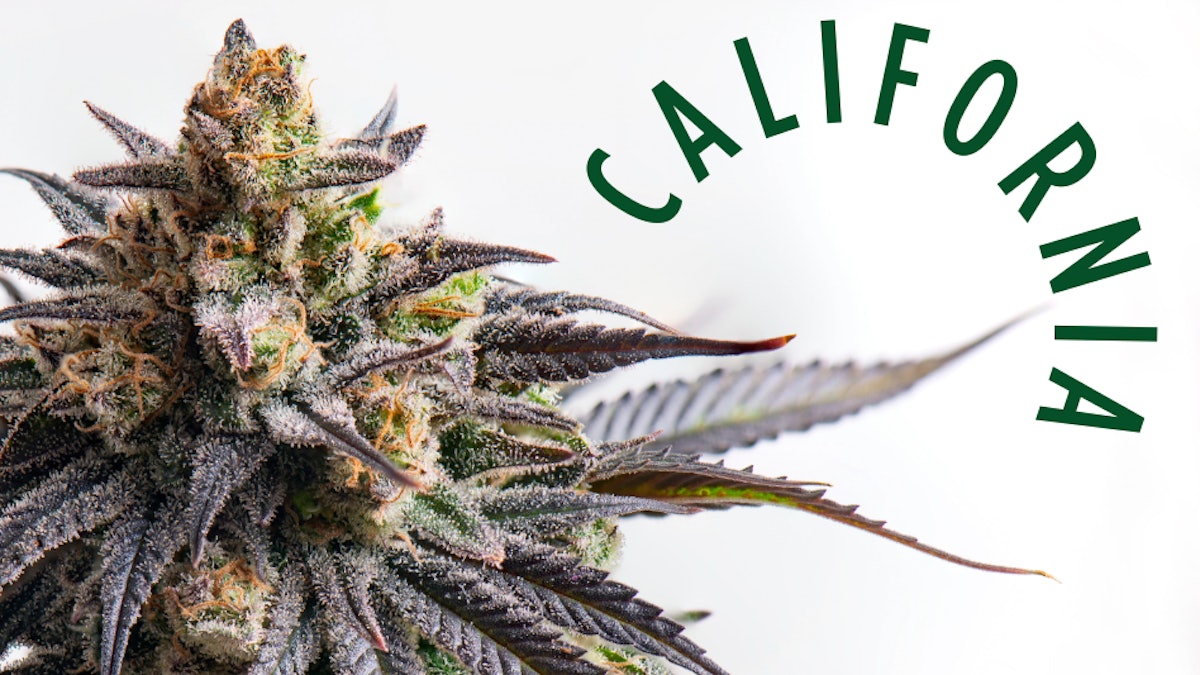 The Top 10 Best-Selling Flower Strains in California in 2023 | Cannabis ...