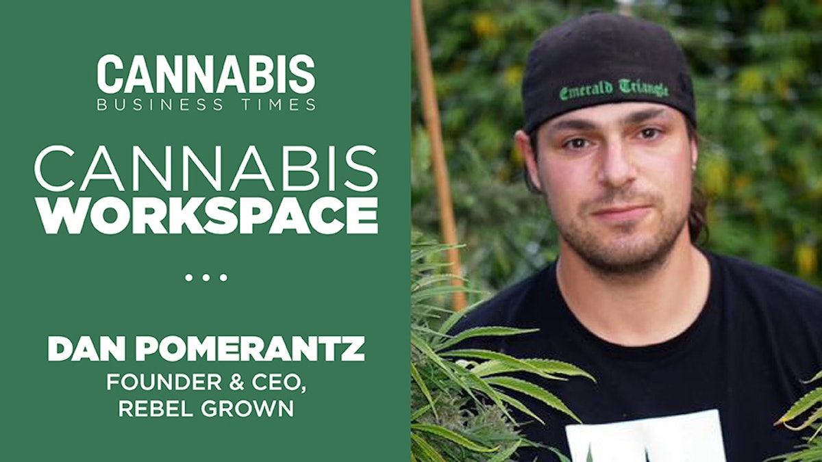 How Rebel Grown’s Dan Pomerantz Works: Cannabis Workspace | Cannabis ...