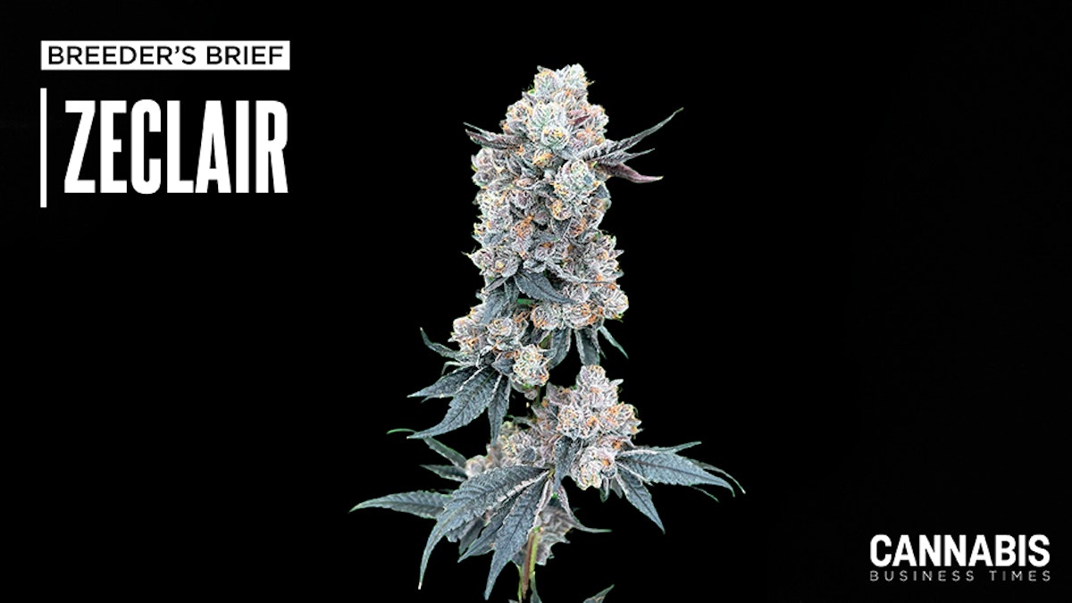 Cannabis Breeder Insights: Zeclair | Cannabis Business Times