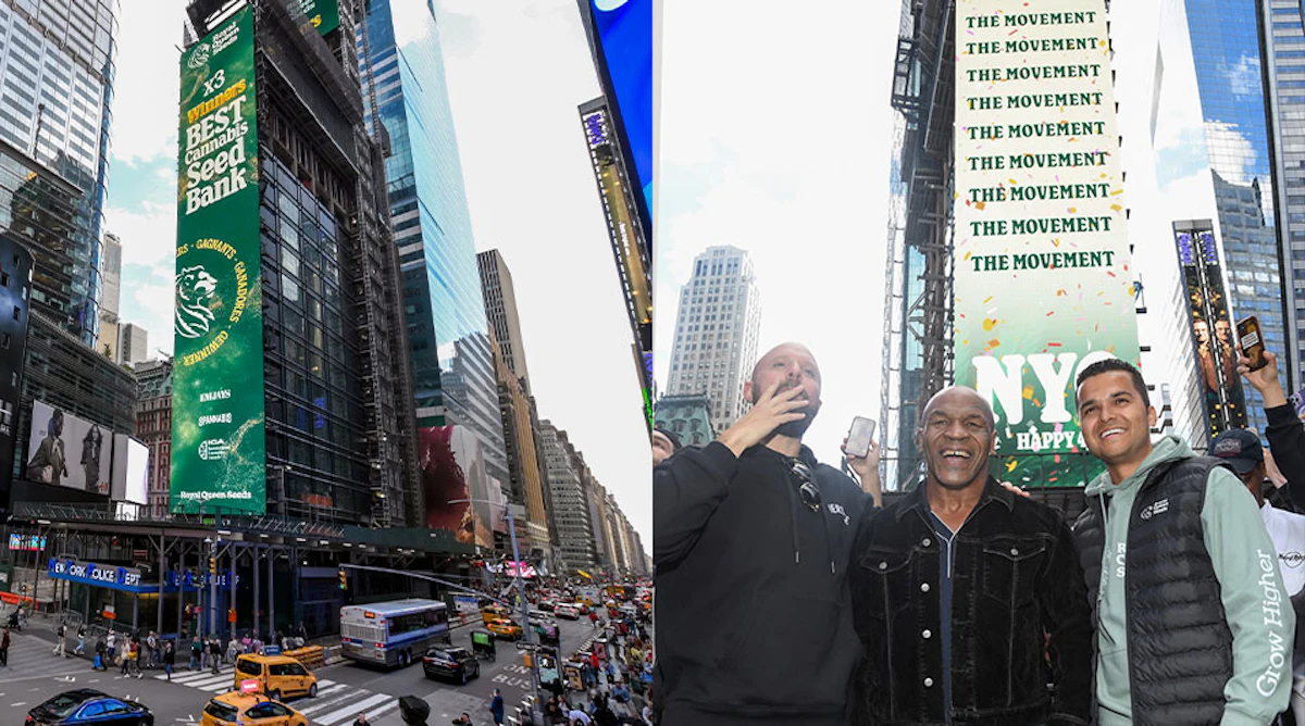 WATCH: 4/20 Countdown in Times Square | Cannabis Business Times