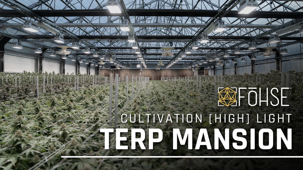 FOHSE Inc. and Terp Mansion: Illuminating Solutions for Cultivation ...