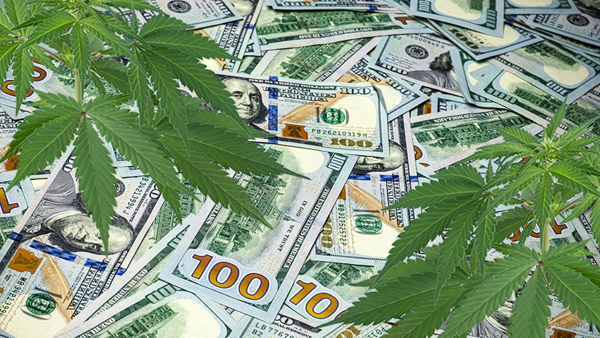 Support for Florida Cannabis Legalization Measure Eclipses $100 Million ...
