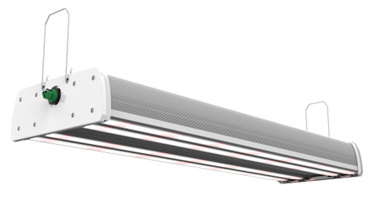 RAPTR Series | Cannabis Business Times