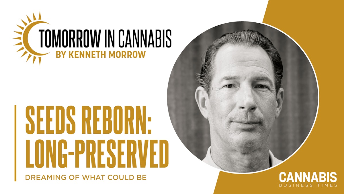 How to Germinate Old Cannabis Seeds | Cannabis Business Times
