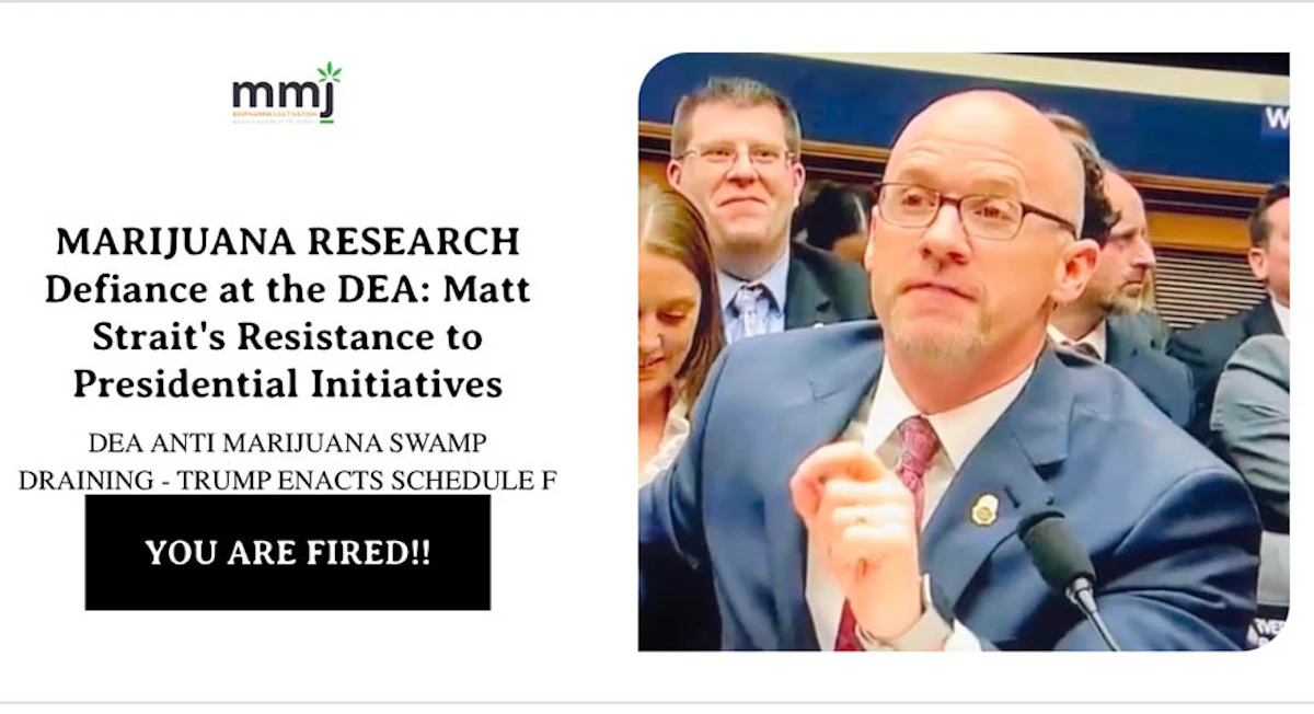 The Man Behind DEA’s Federal Marijuana Scam | Cannabis Business Times