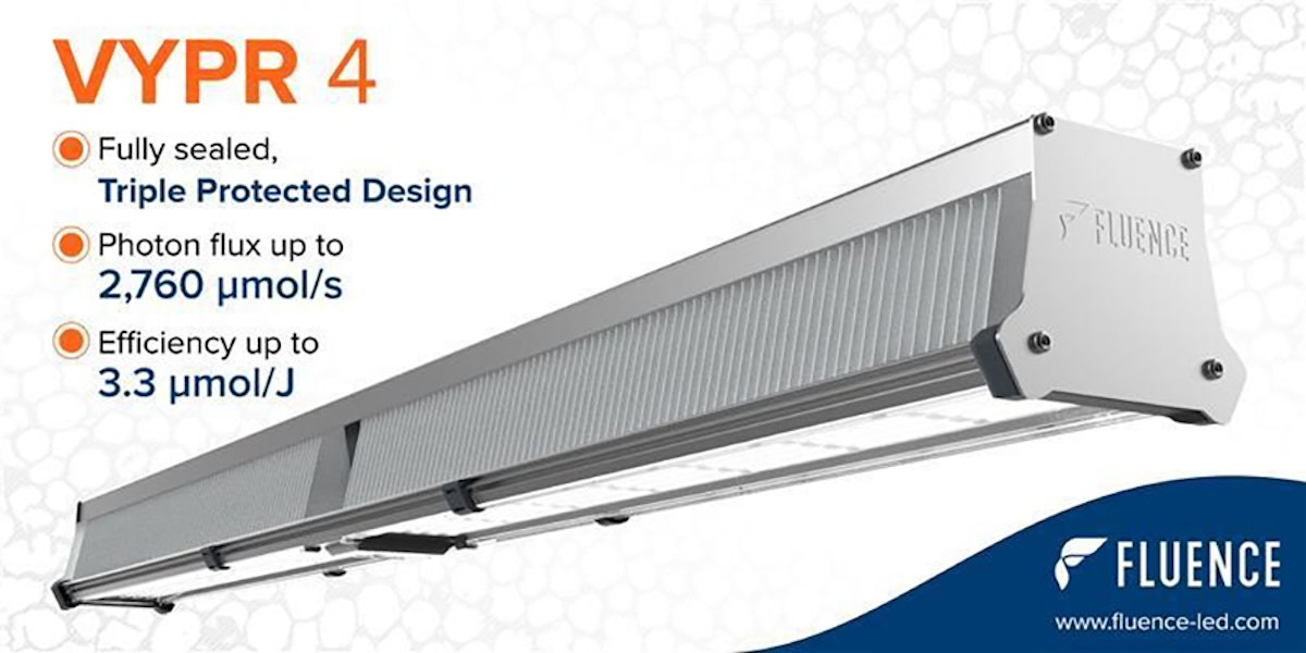 Fluence Next-Generation VYPR 4 Top Light Now Shipping to Global ...