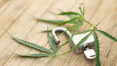 DEA Schedule III Registration Asks Cannabis Businesses to Admit to Drug ...
